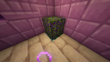 Ender Villages Mod Para Minecraft 1.21.11, 1.20.4 - ZonaCraft